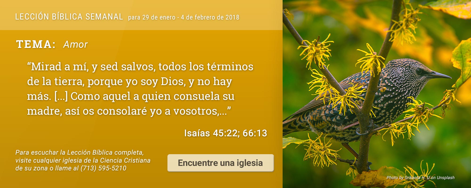 Bible Lesson Golden Text 20180129_es « Christian Science Houston Area